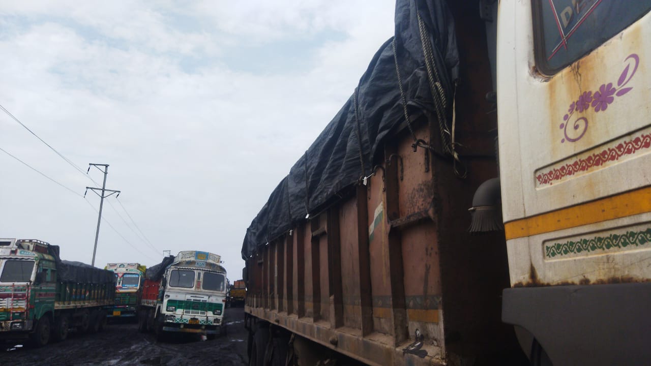 Umbrella Protection Systems